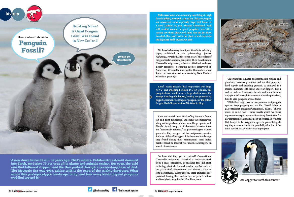 History Penguin Fossil Brainspace Magazine Interactive